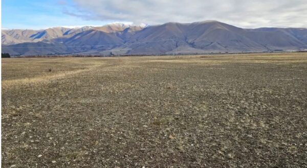 Kiwi joint venture plans New Zealand's biggest solar farm on North ...
