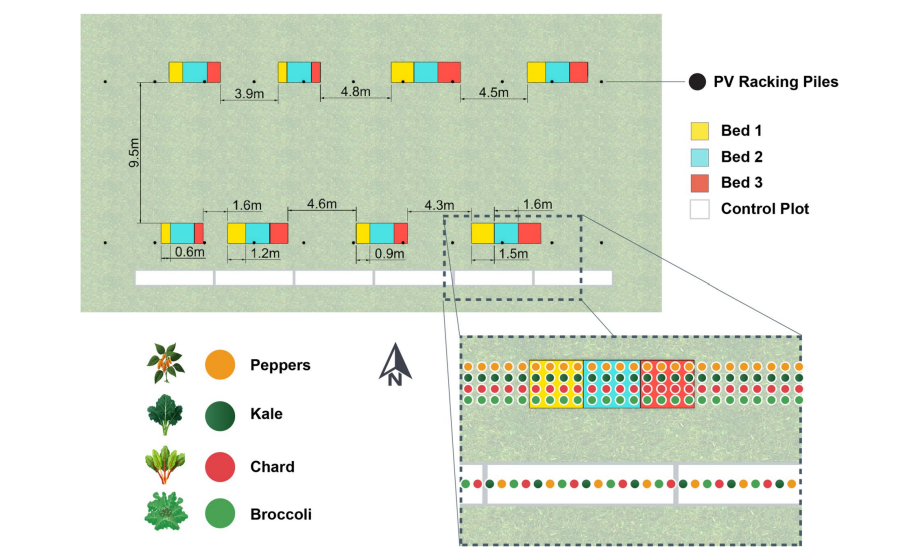 Agrivoltaic shading, full-sun fields gives farmers the power to pivot ...